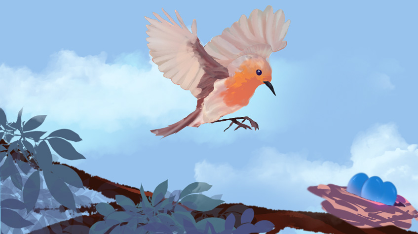 Creative & Digital students flying high after RSPB work experience ...