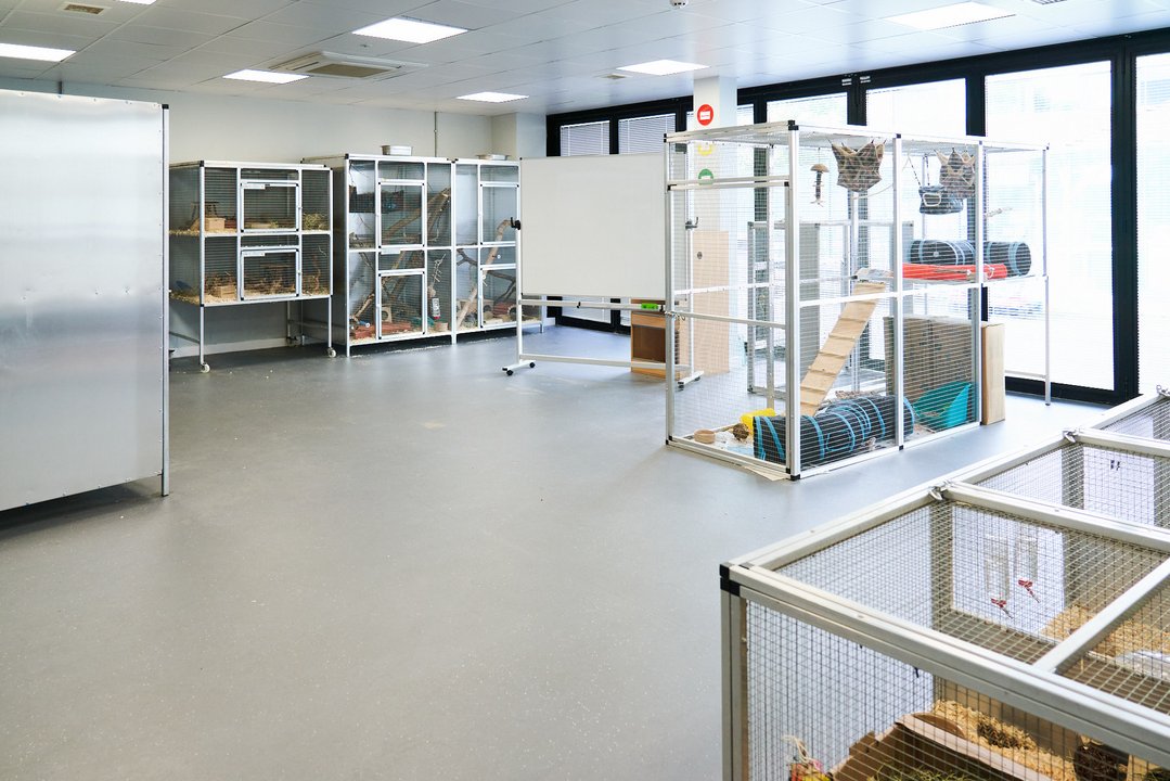 Animal Management Courses at The Manchester College