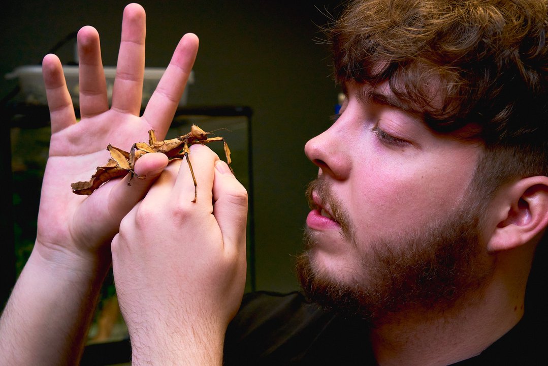 Animal Management Courses at The Manchester College