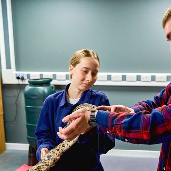 Animal Management Courses at The Manchester College