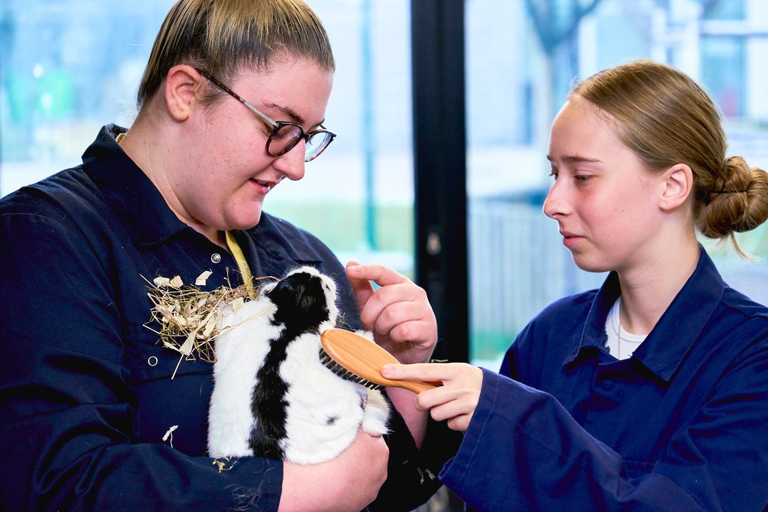 Animal Management Courses at The Manchester College